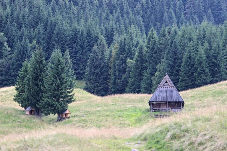 Tiny Green Hut – Tiny House Swoon