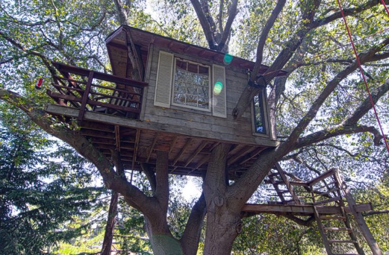 Burlingame Treehouse – Tiny House Swoon