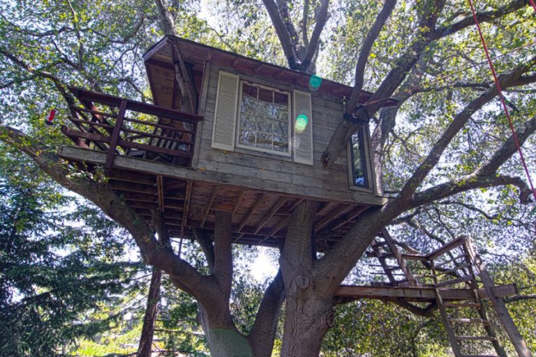 Hawk House – Tiny House Swoon
