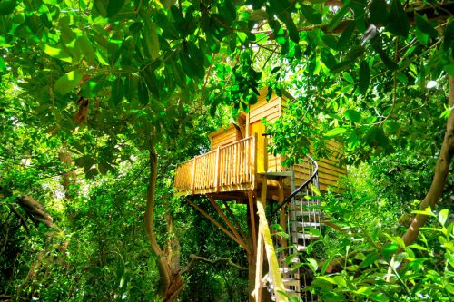 Acorn Tree House – Tiny House Swoon