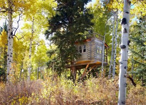 Denver Treehouse – Tiny House Swoon